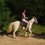 Horseback Riding Tour along the Beaches of Punta Cana - A Closer Look at the Tour