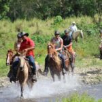 Horseback Riding Tour of Punta Cana - The Scenic and Cultural Highlights