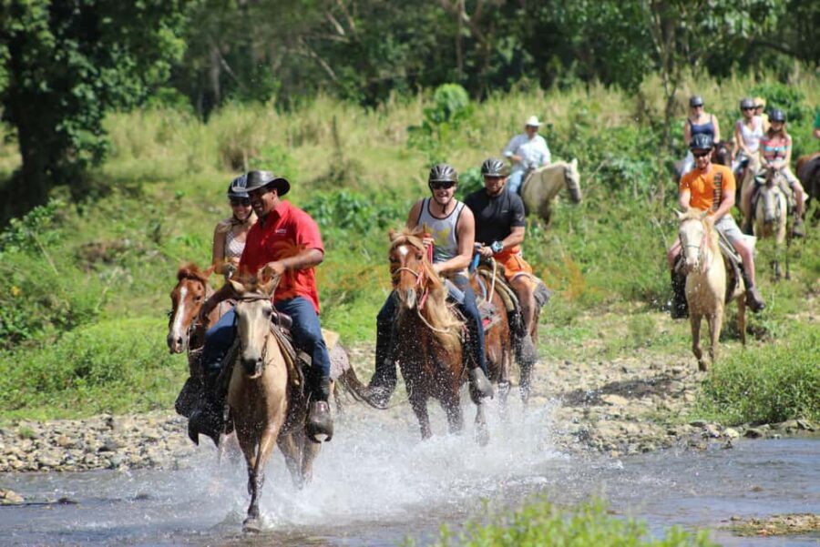 Horseback Riding Tour of Punta Cana - The Scenic and Cultural Highlights