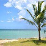 Horseback Riding/Zipline Combo Tour at Chukka Ocean Outpost with Transportation - A Closer Look at the Itinerary