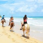 Horses, Buggy, and plantation in Chocaci Ranch - FAQ