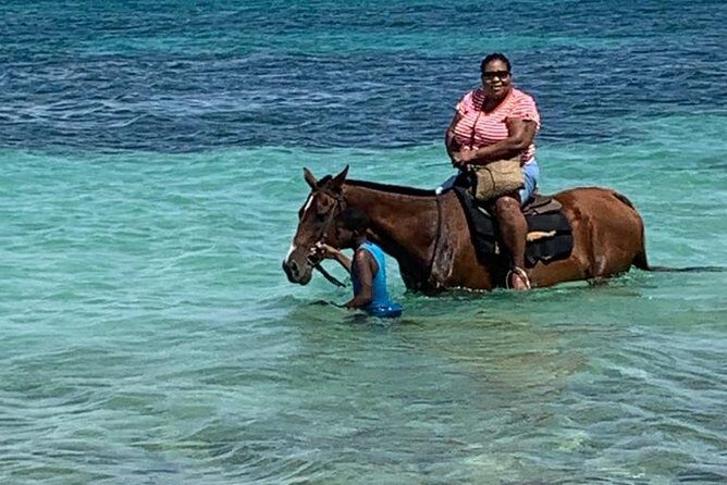 Hour Horseback Riding Guided Tour from Runaway Bay - Who Should Consider This Tour?