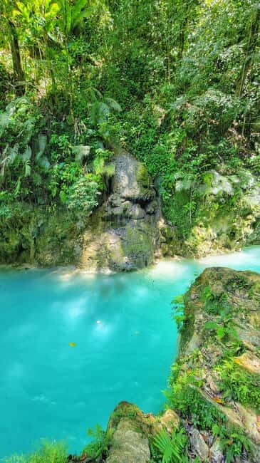 Hour Rio Partido's Secret River Trail with Lunch - The Journey into the Wilderness