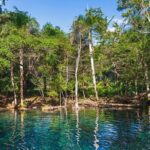 Iberostar Selection Bavaro - Round Trip Shuttle - Punta Cana Airport - What to Expect from Your Transfer