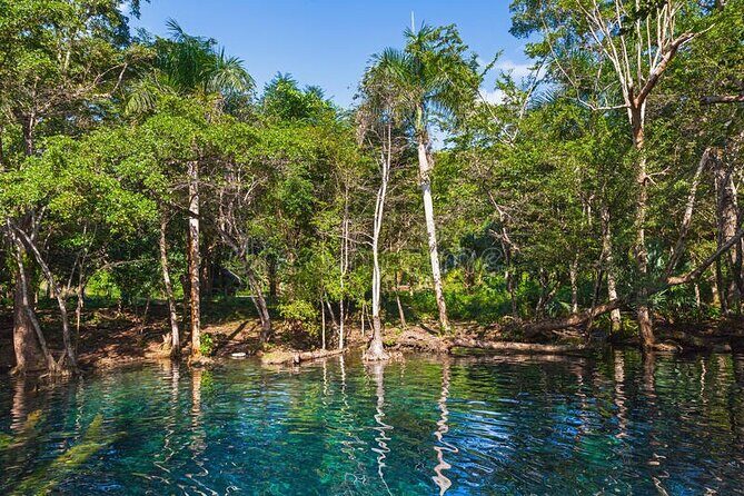 Iberostar Selection Bavaro - Round Trip Shuttle - Punta Cana Airport - What to Expect from Your Transfer