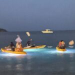 Illuminated Night Kayaking at the Elysian Resort - The Itinerary in Detail