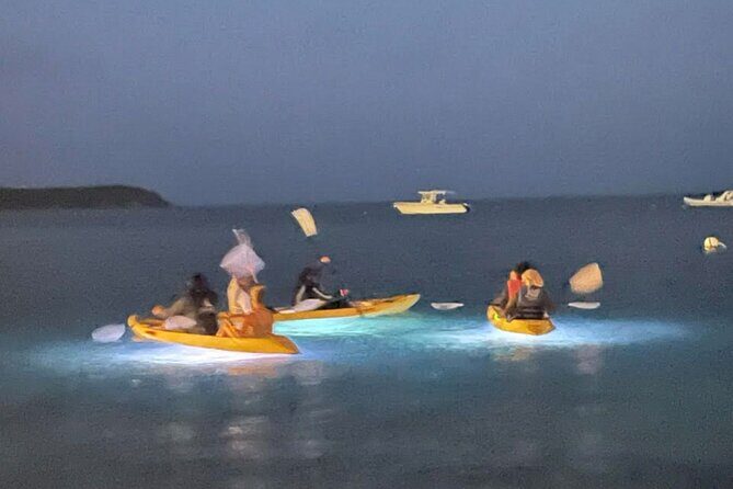 Illuminated Night Kayaking at the Elysian Resort - The Itinerary in Detail