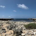 Indian Inscriptions Tour with Local Guide - A Detailed Look at the Indian Inscriptions Tour