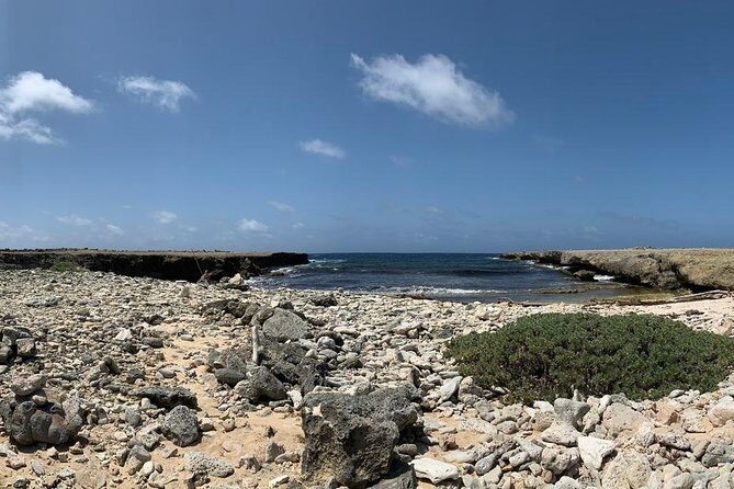 Indian Inscriptions Tour with Local Guide - A Detailed Look at the Indian Inscriptions Tour