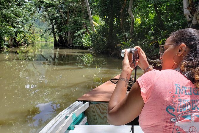 Indian River, Cold Soufriere & Fort Shirley (Northern Excursion) - Authentic Experiences That Shine