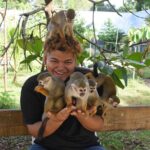 Interaction with Monkey Tour & city tour in Puerto Plata - Who Will Love This Tour?