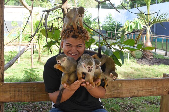 Interaction with Monkey Tour & city tour in Puerto Plata - Who Will Love This Tour?