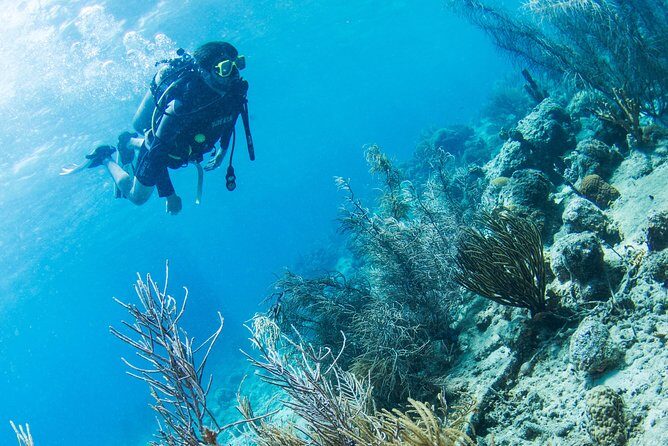 Introduction Shore Dive with Scubaçao (1 dive) - The Personal Touch: Guides and Reviews