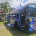 Irie Vibe Open Air Scenic Adventure - Why This Tour Works Well