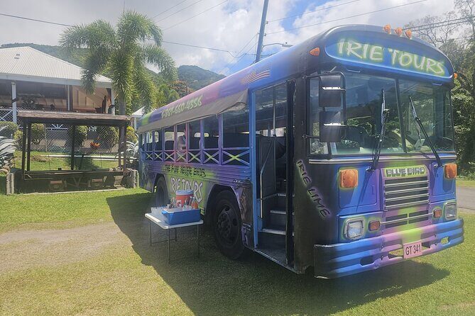 Irie Vibe Open Air Scenic Adventure - Why This Tour Works Well