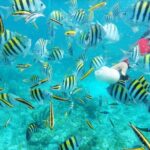 Isla Catalina All Inclusive Snorkel and Beach Day from Punta Cana - What Travelers Say and Why It Matters