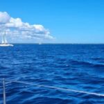 Isla Saona Day Trip From Santo Domingo with Lunch - The Transportation & Group Experience