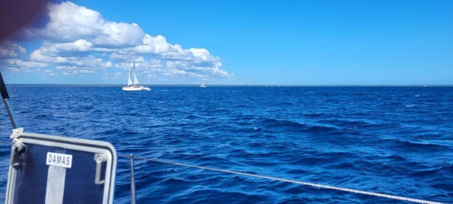 Isla Saona Day Trip From Santo Domingo with Lunch - The Transportation & Group Experience