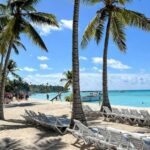 isla saona día completo - What Travelers Can Expect