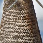 Island Safari 4x4 Discovery Tour from St John's - Final Thoughts