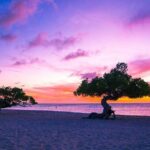 Island Tours and Party Bus Adventures in Aruba - The Experience: What You Might Love