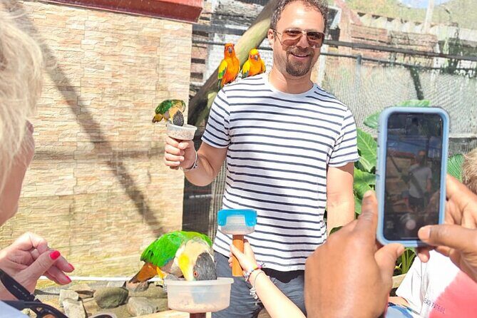 Island Transfers: St. Maarten & St. Martin Pick-Up & Drop-Off - The Journey: From Airport to Hotel or Beach