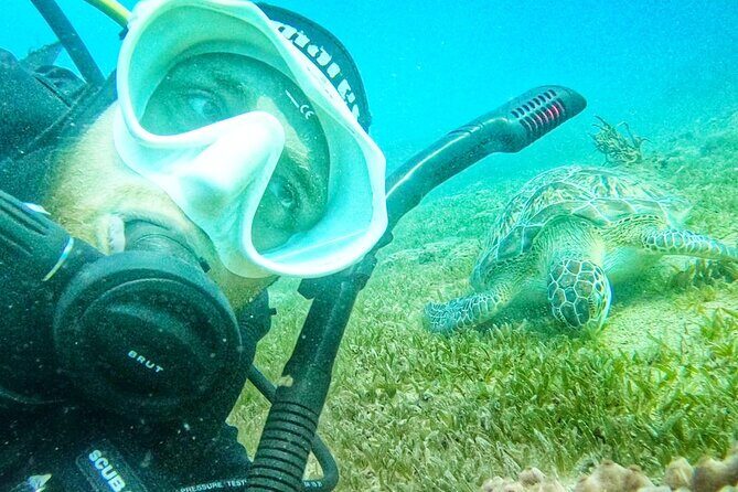 Island Wreck and Reef Scuba Excursion - The Experience on the Boat