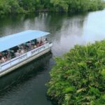 Jamaica: Black River Safari Guided Tour and YS Falls Tour - Analyzing the Value