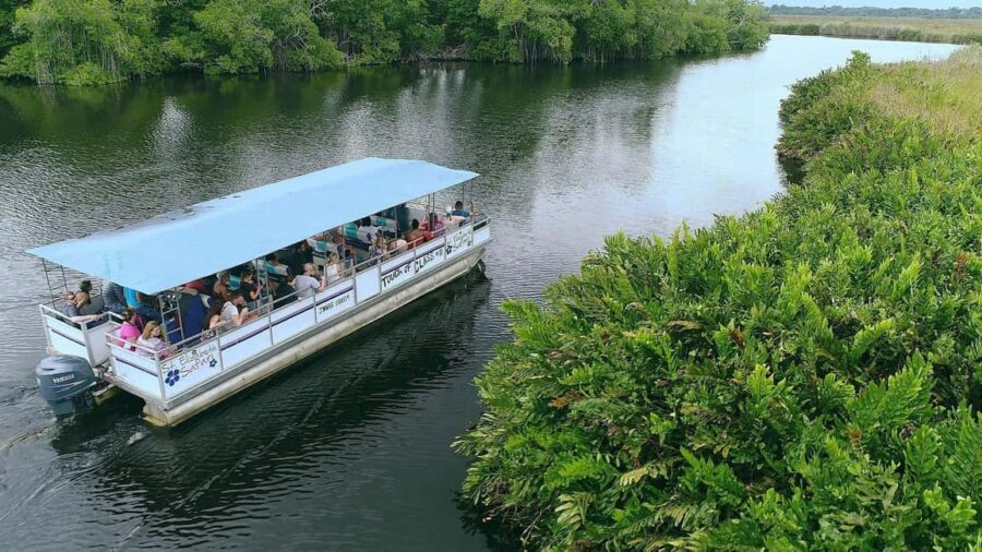 Jamaica: Black River Safari Guided Tour and YS Falls Tour - Analyzing the Value