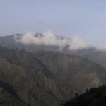 Jamaica Blue Mountain Guided Nature Tour - Who Will Love This Tour?