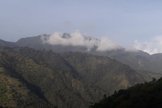 Jamaica Blue Mountain Guided Nature Tour - Who Will Love This Tour?