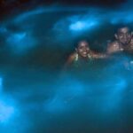 Jamaica: Bob Marley, Dunn's River Falls and Luminous Lagoon - How the Day Unfolds