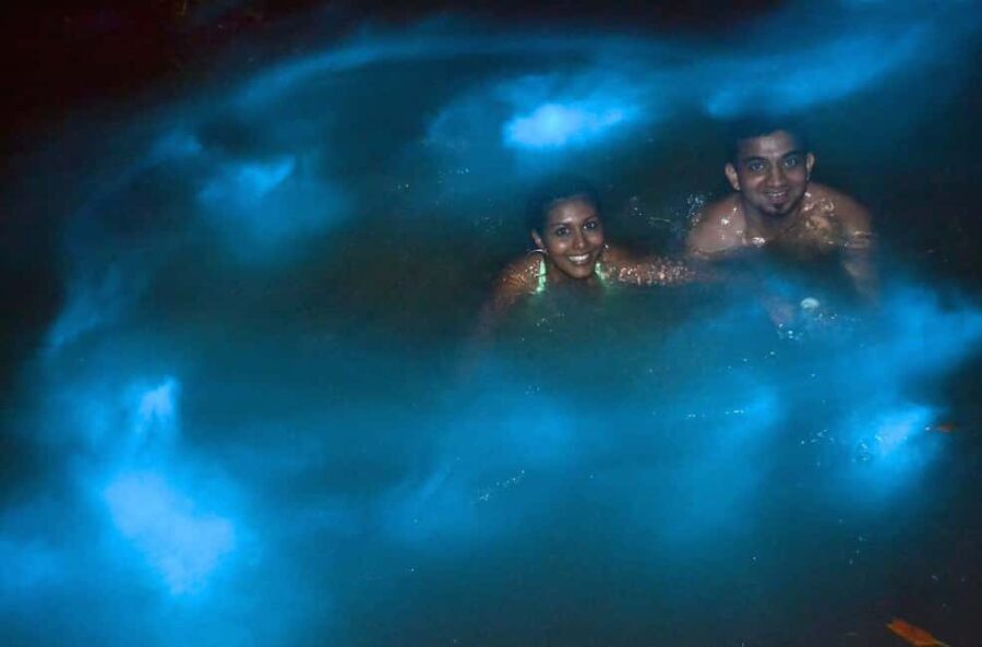 Jamaica: Bob Marley, Dunn's River Falls and Luminous Lagoon - How the Day Unfolds