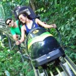 Jamaica Bobsled Adventure (Mystic Silver) Tour from Montego Bay - Key Points