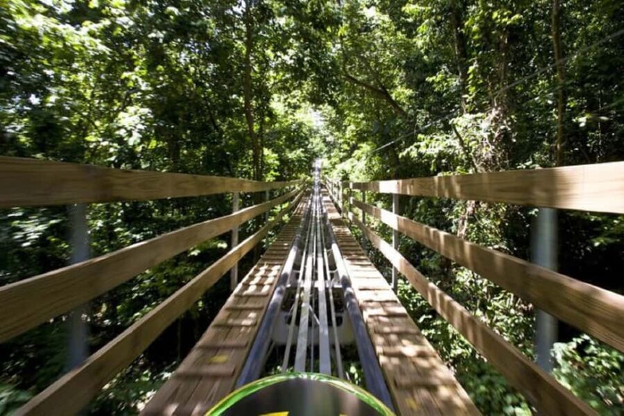 Jamaica Bobsled and Zip Line Adventure Tour - What Reviewers Say