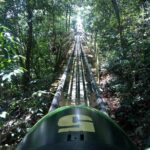 Jamaica Bobsled (Mystic Silver) Adventure Tour - The Experience from Travelers’ Perspectives