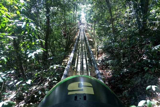 Jamaica Bobsled (Mystic Silver) Adventure Tour - The Experience from Travelers’ Perspectives