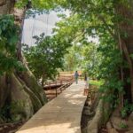 Jamaica Giants sculpture park, art galleries - FAQ about Jamaica Giants Sculpture Park & Art Gallery