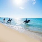 Jamaica: Private Horseback Ride and Swim in the Sea - The Stables: Safety & Introduction