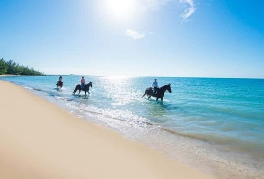 Jamaica: Private Horseback Ride and Swim in the Sea - The Stables: Safety & Introduction