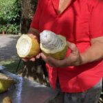 Jamaica: Spirit of the Maroons Cultural tour in Jamaica - What Makes This Tour Stand Out