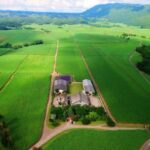 Jamaica: Worthy Park Rum Estate - Who Should Book This Tour?