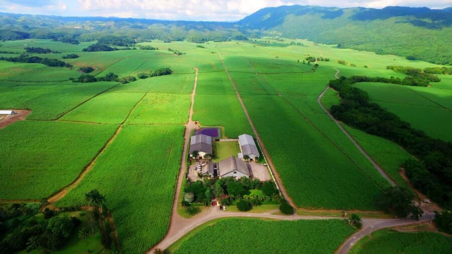 Jamaica: Worthy Park Rum Estate - Who Should Book This Tour?