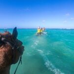 Jamaican Coastline Adventure: Horses, Dunns River Falls and Zip - Who Will Get the Most Out of This Experience?