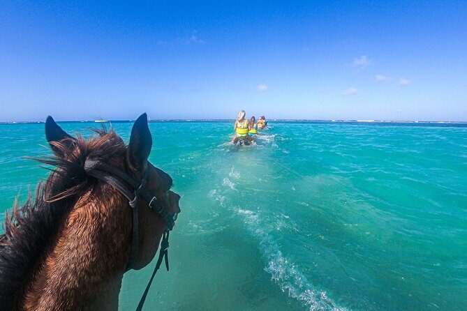 Jamaican Coastline Adventure: Horses, Dunns River Falls and Zip - Who Will Get the Most Out of This Experience?
