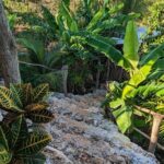 Jamaican Roots Tropical Farm Tour - Taste & Explore (Negril) 2hr - Starting at the Farm Gate: Small but Well-Designed