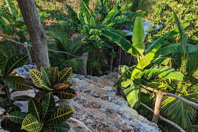Jamaican Roots Tropical Farm Tour - Taste & Explore (Negril) 2hr - Starting at the Farm Gate: Small but Well-Designed