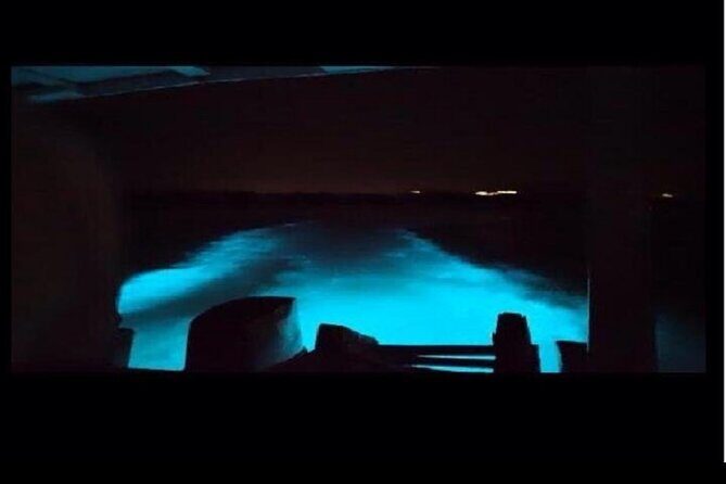 Jamaica's Luminous Lagoon Night Tour - Why the Luminous Lagoon Stands Out