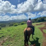 Jarabacoa: Private Baiguate Waterfall Horseback Riding Tour - Why This Tour Is a Great Value
