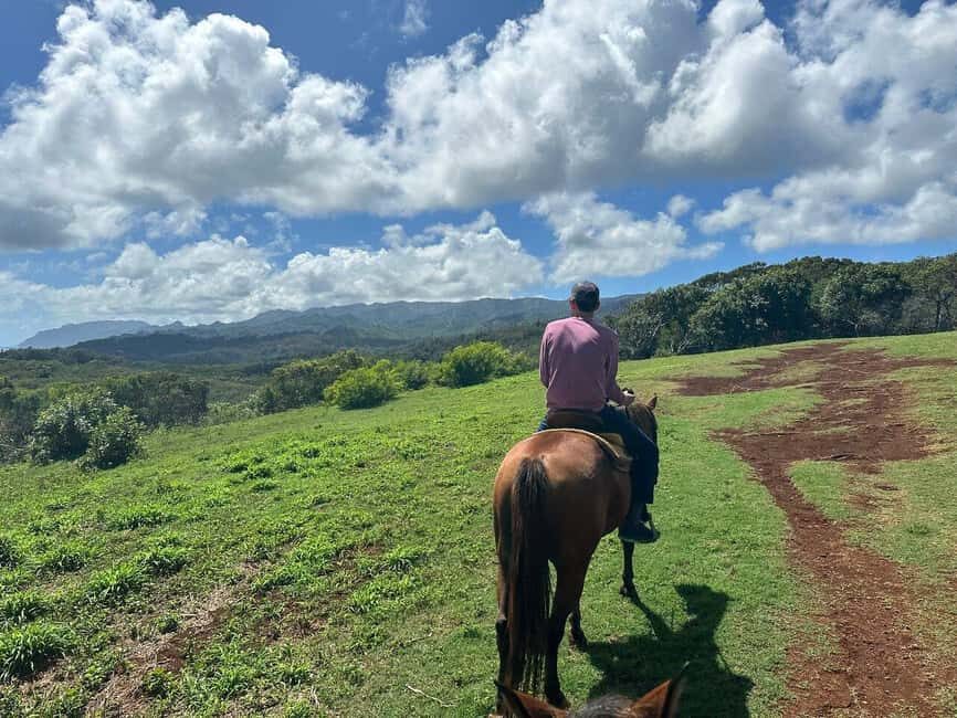 Jarabacoa: Private Baiguate Waterfall Horseback Riding Tour - Why This Tour Is a Great Value